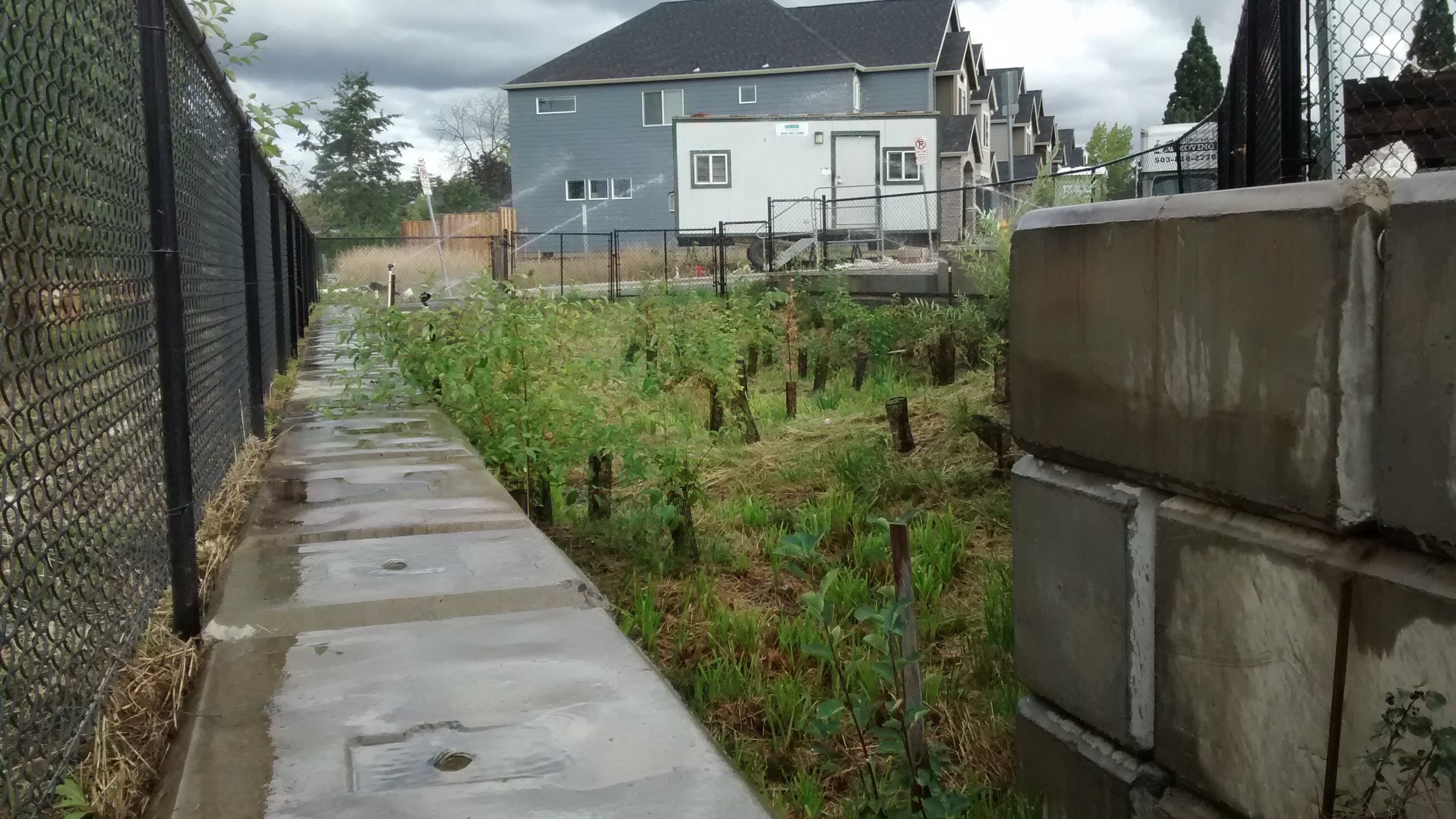 McKenna Terrace – Emerio Design