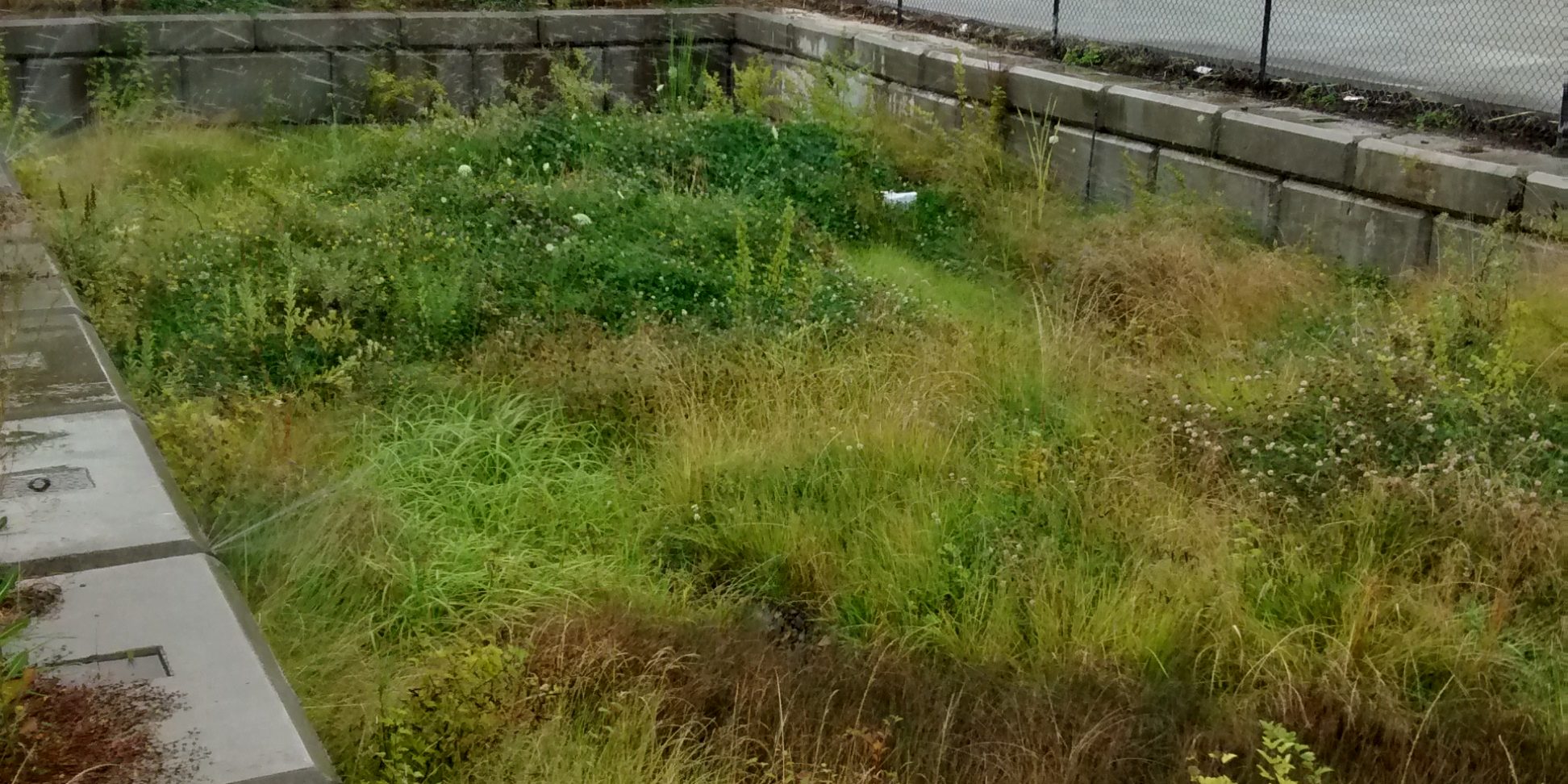 Renae Court – Emerio Design